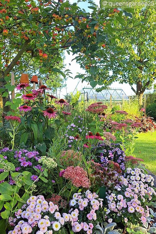 Der Chelsea Chop: Ein Frühlingsschnitt für üppige Blütenpracht